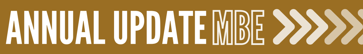 WISDP MBE Annual Update